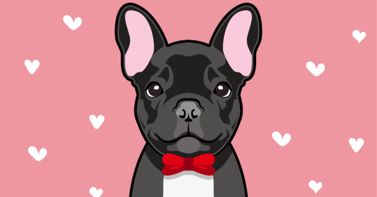 Meet The Top Frenchie Team | Top Frenchie